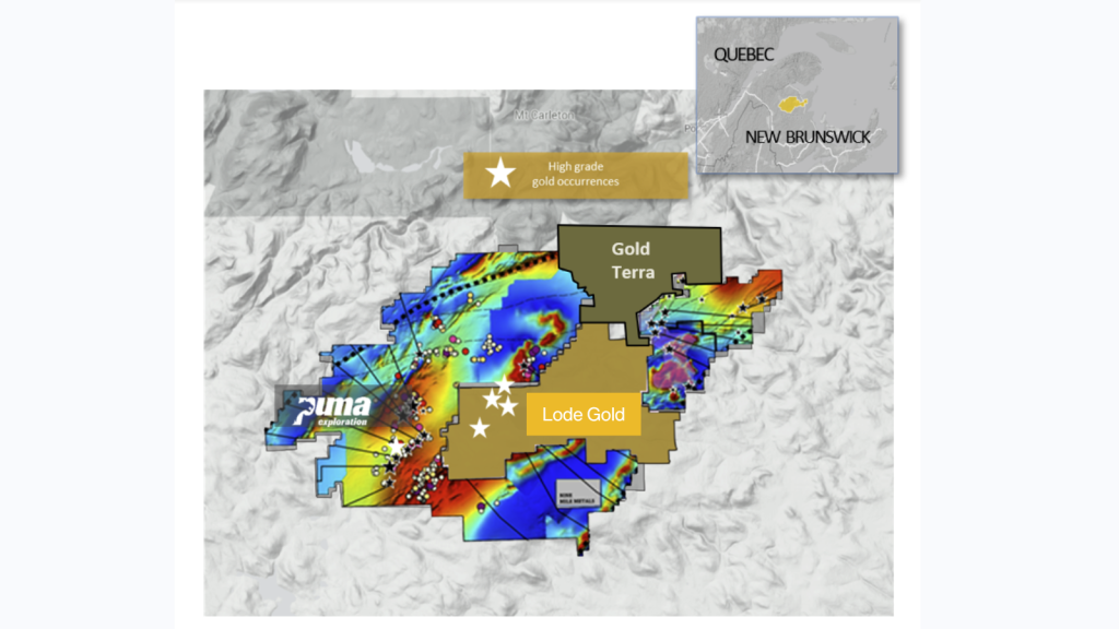 McIntyre Brook - Lode Gold